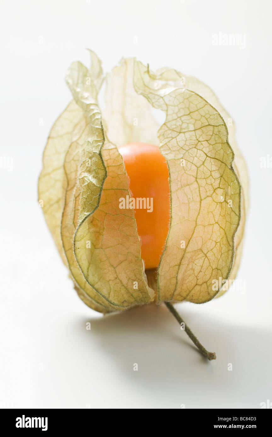 Physalis with husk (close-up Stock Photo - Alamy
