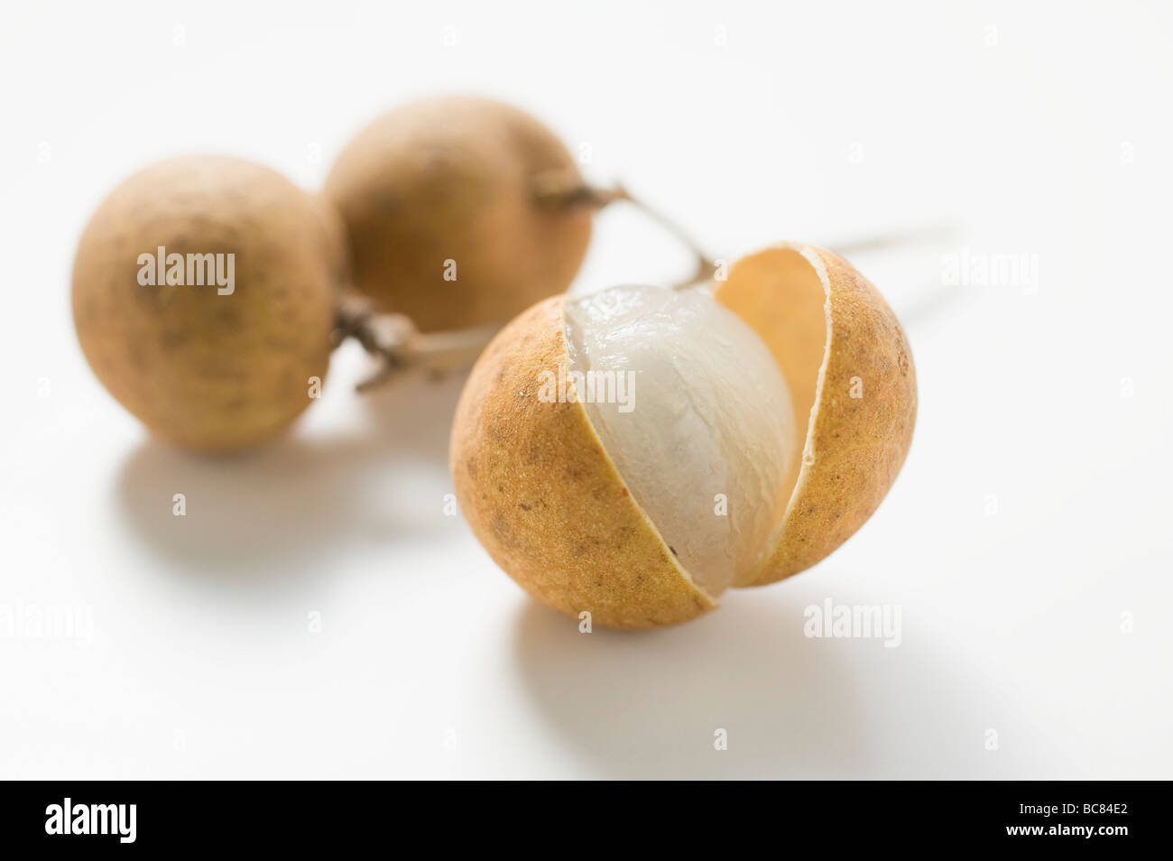 Three into one hi-res stock photography and images - Alamy