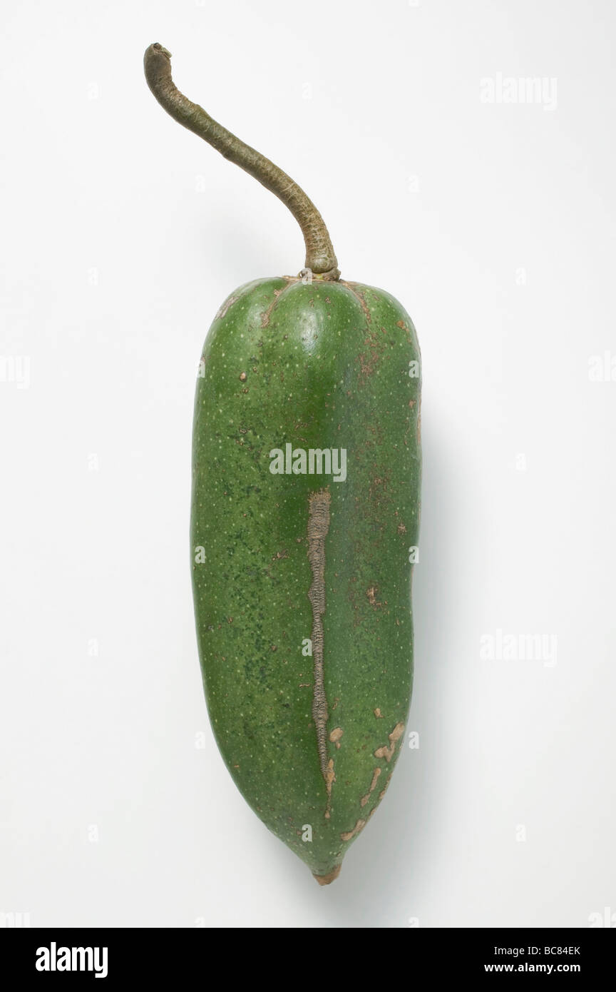 A babaco Stock Photo - Alamy