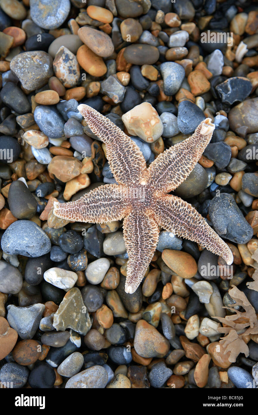 Shoreline pattern hi-res stock photography and images - Alamy