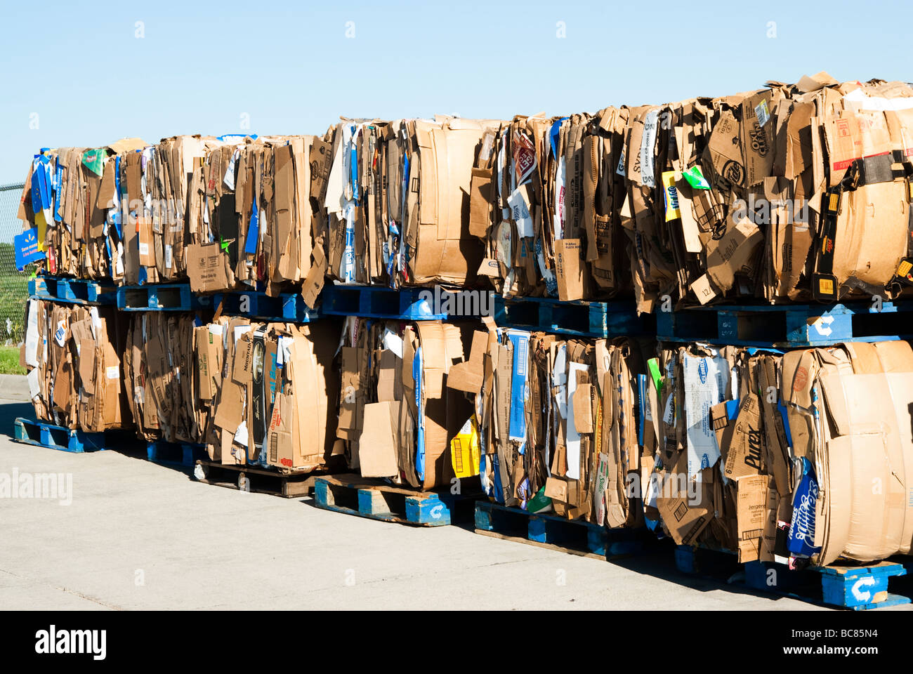 compacted cardboard ready for recycling Stock Photo - Alamy