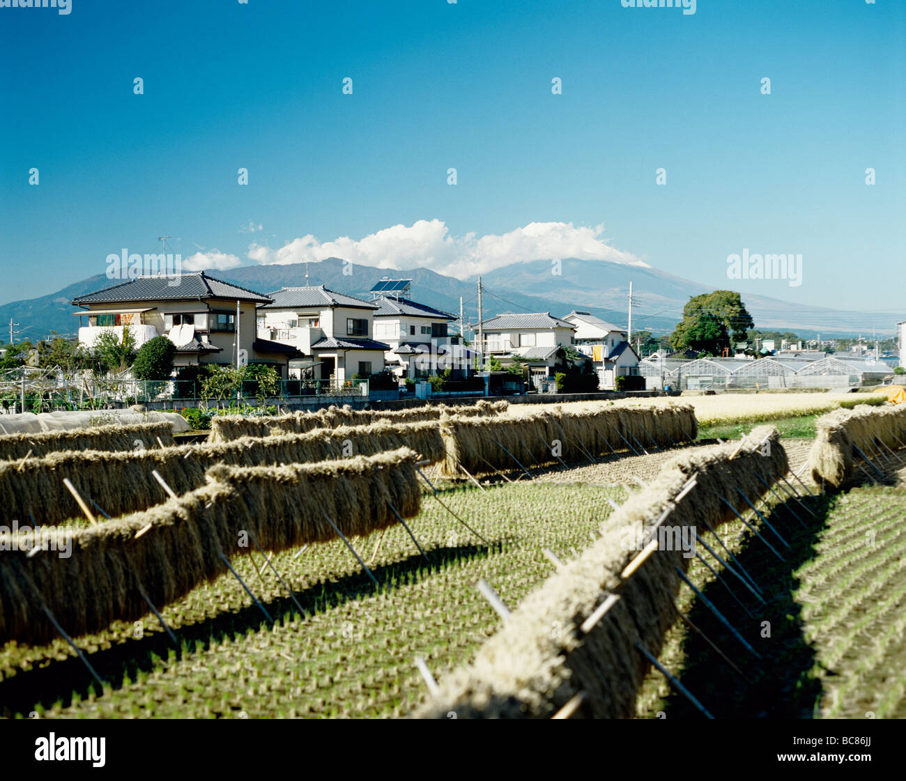 Japan, Houses and drying rice Stock Photo - Alamy