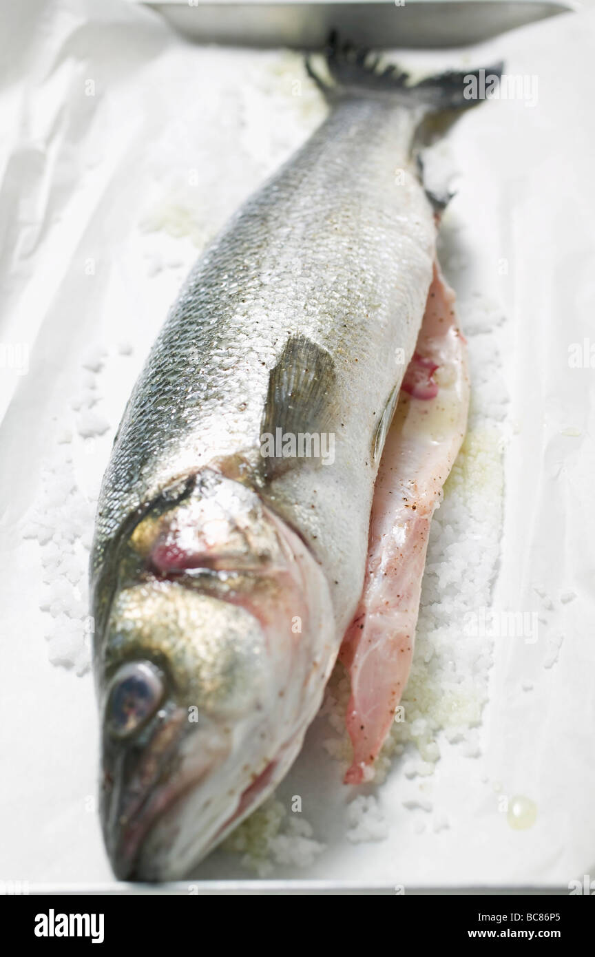 Salted sea bass hi-res stock photography and images - Alamy