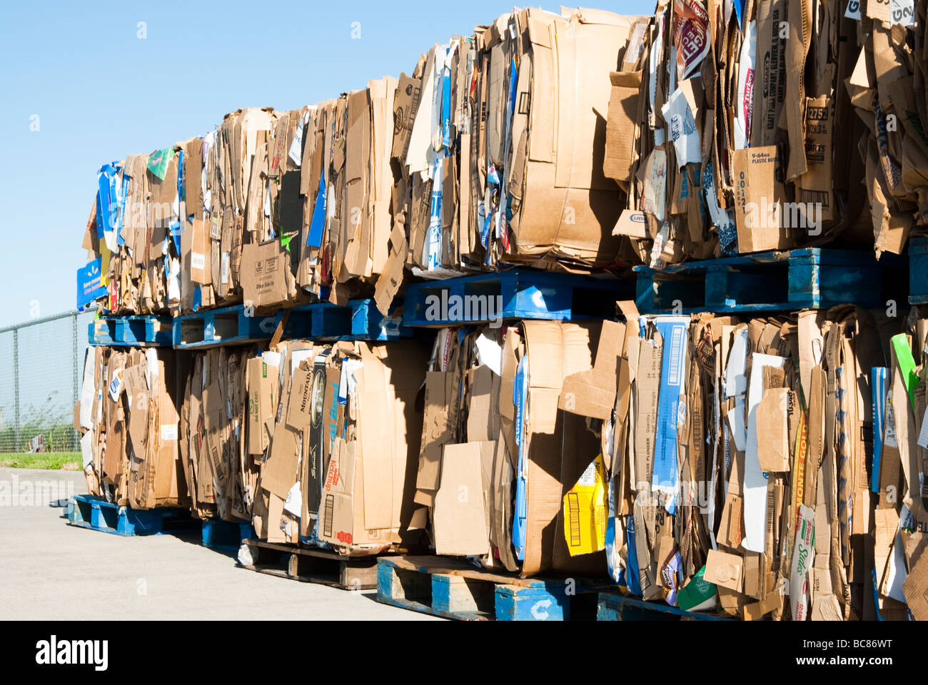 compacted cardboard ready for recycling Stock Photo - Alamy