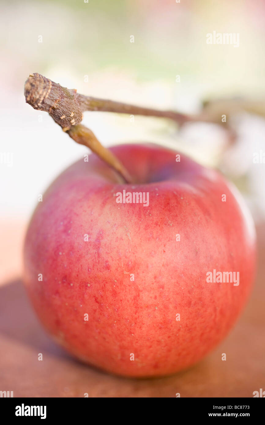 Red apple with stalk Stock Photo - Alamy