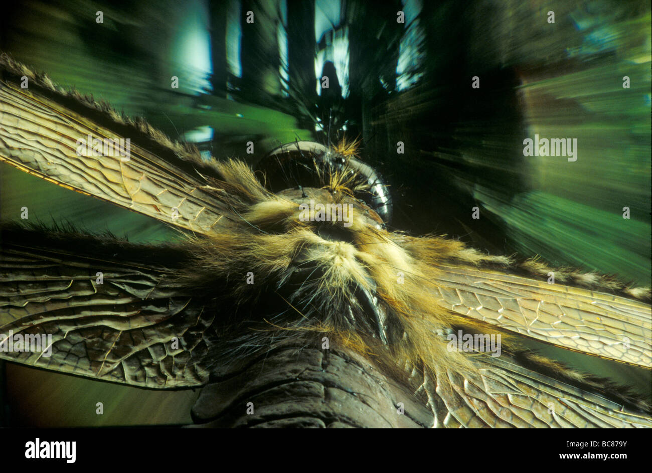 Flying Point High Resolution Stock Photography and Images - Alamy