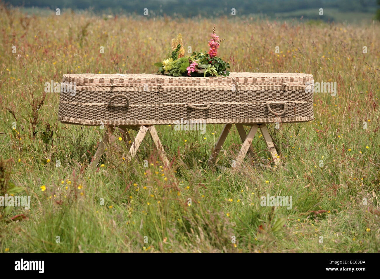 Wicker coffin stands in a field designated for natural burial Stock ...