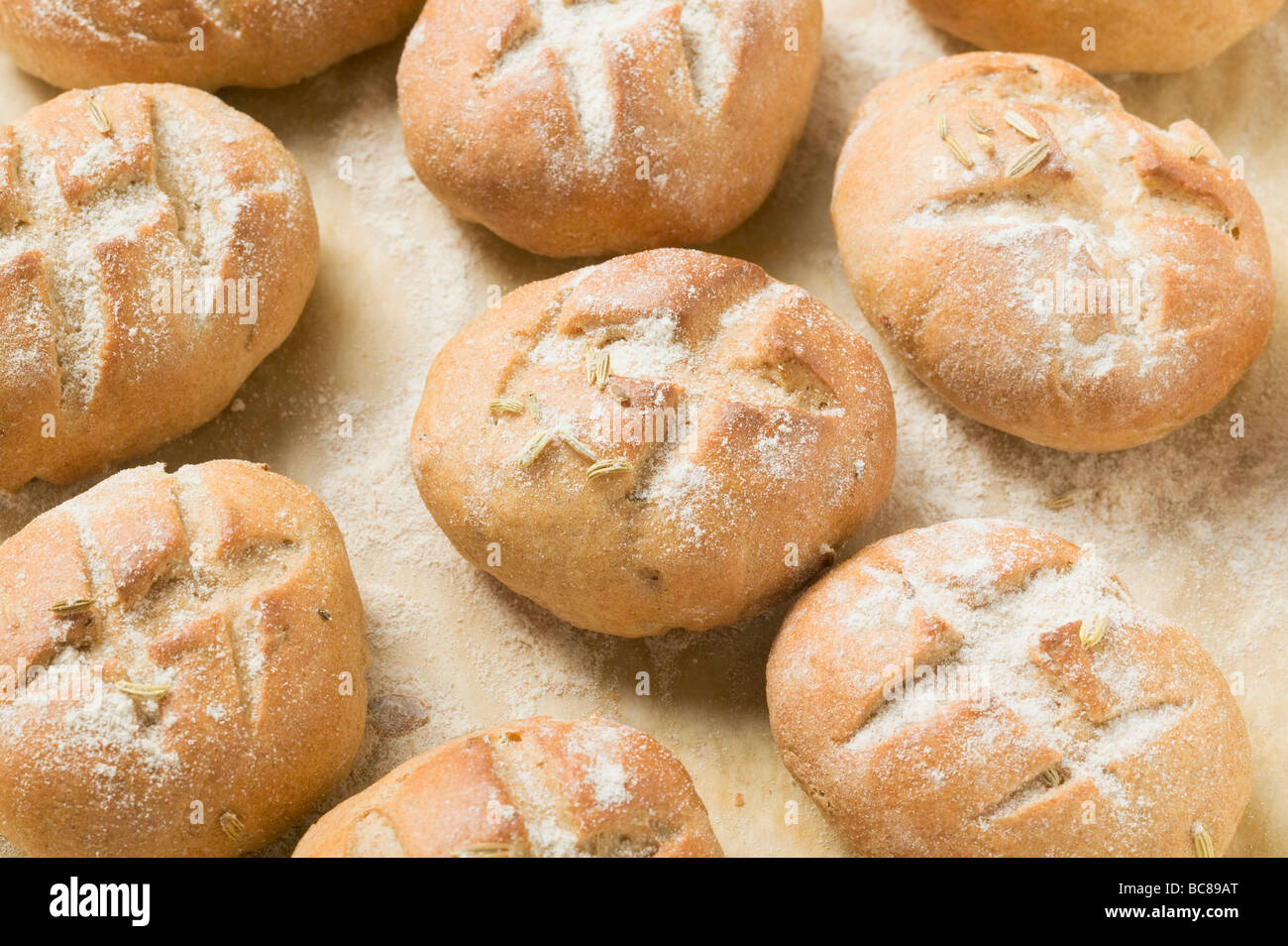 Several fennel rolls Stock Photo - Alamy