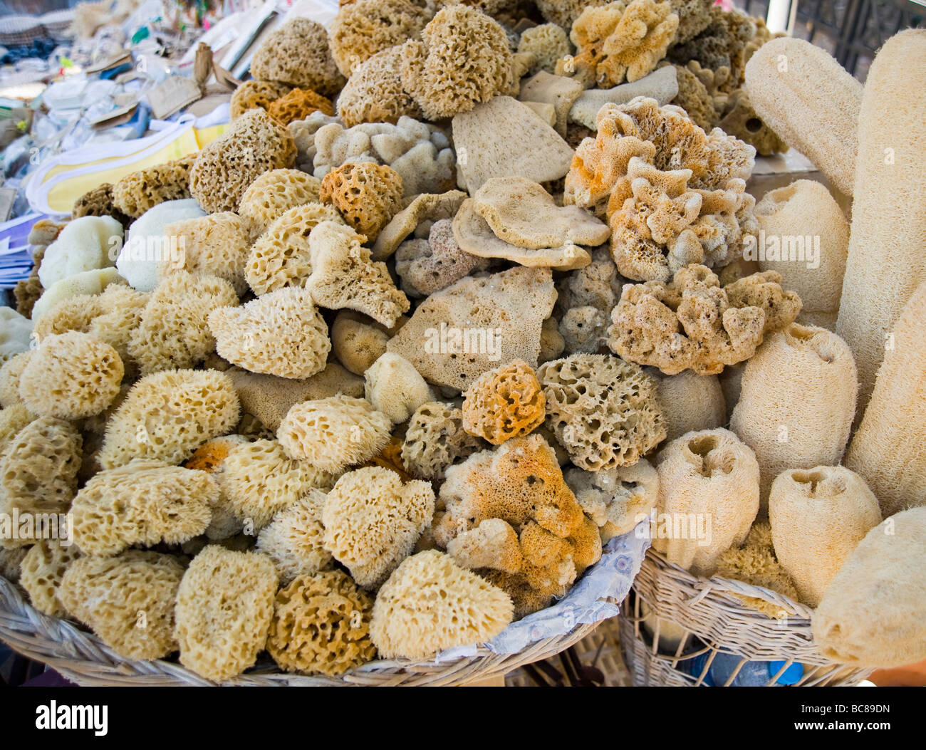 Natural sponges for sale hi-res stock photography and images - Alamy