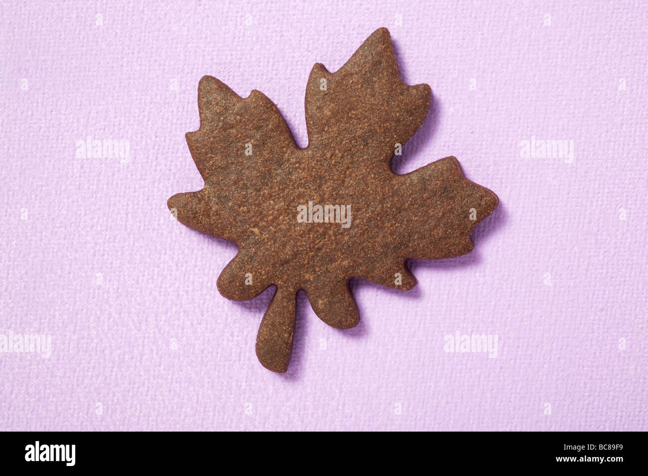 Birds in maple hi-res stock photography and images - Alamy