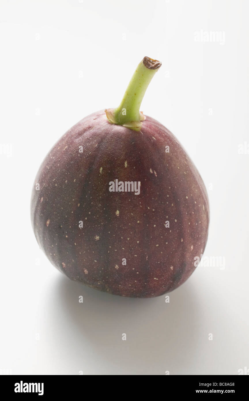 Purple fig Stock Photo - Alamy