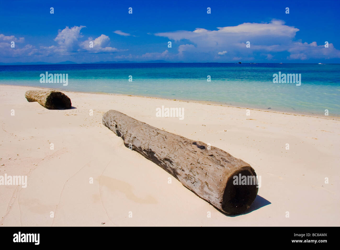 Tropical Beach - with logs Stock Photo - Alamy