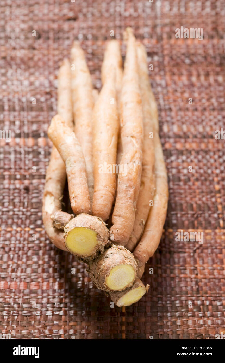 Fingerroot hi-res stock photography and images - Alamy