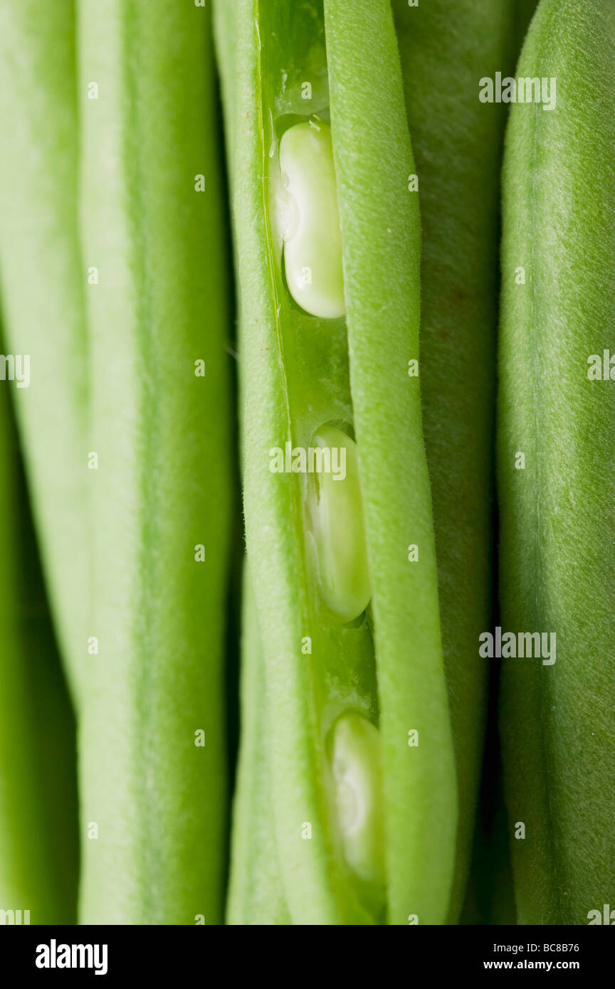 Several green beans hi-res stock photography and images - Alamy