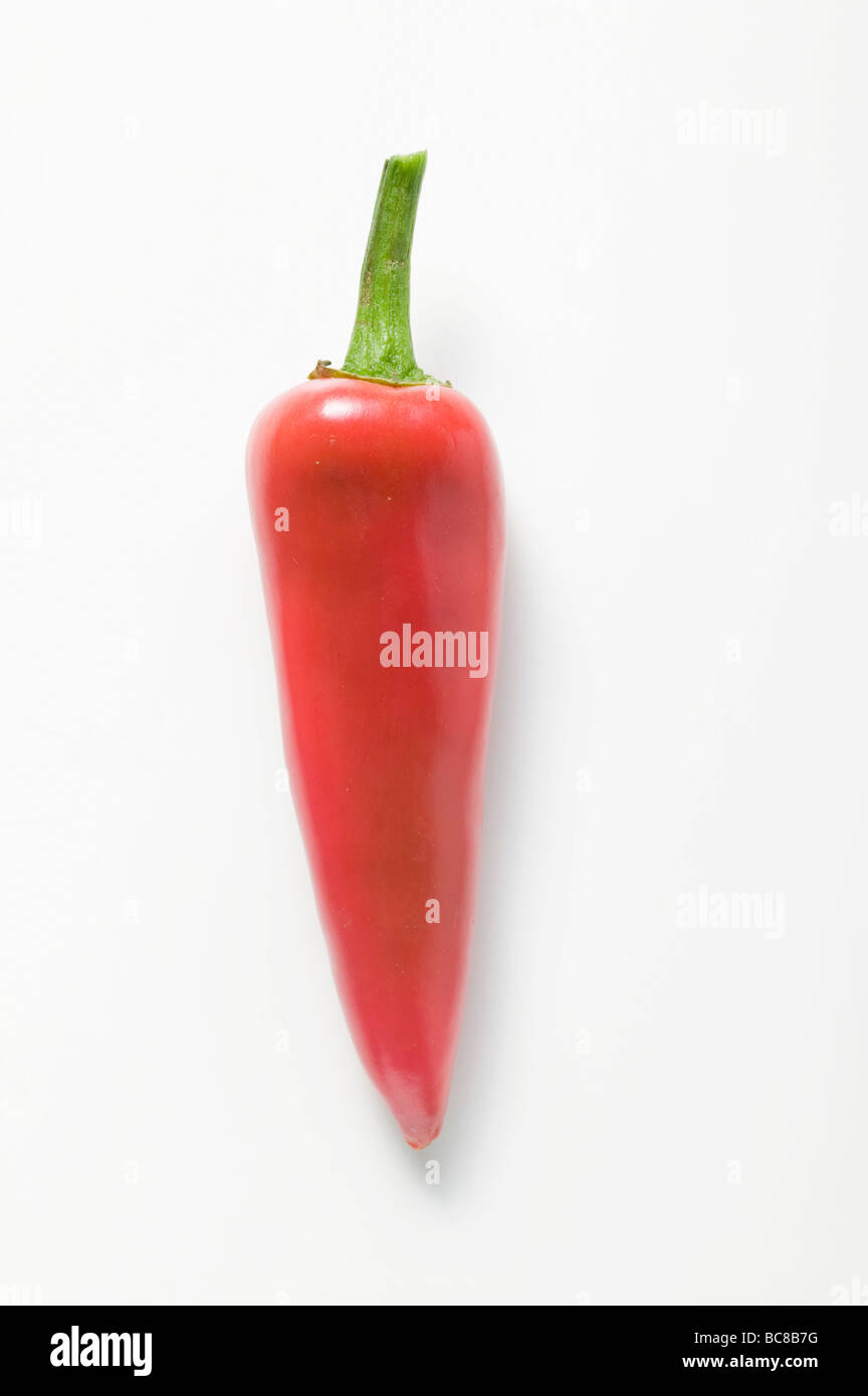 Red chilli Stock Photo - Alamy