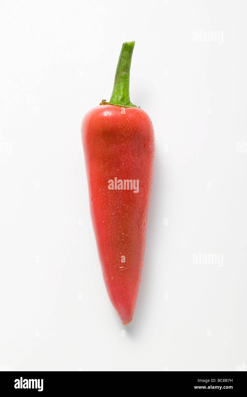 Red chilli with drops of water Stock Photo - Alamy