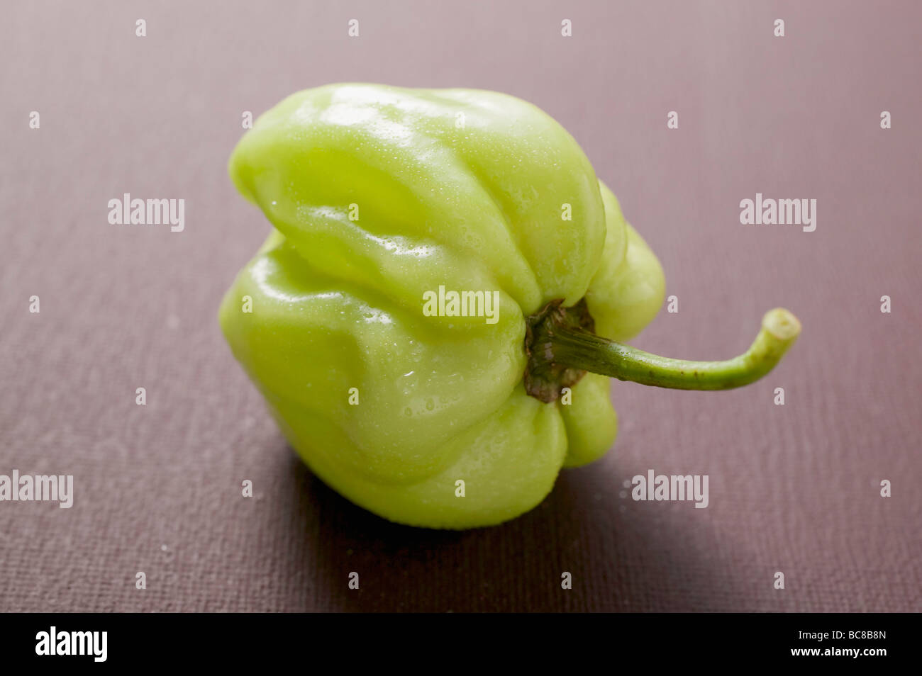 Green Habanero chilli Stock Photo - Alamy