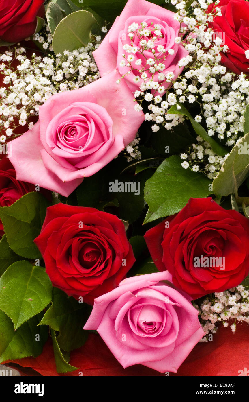 Bouquet of roses Stock Photo - Alamy