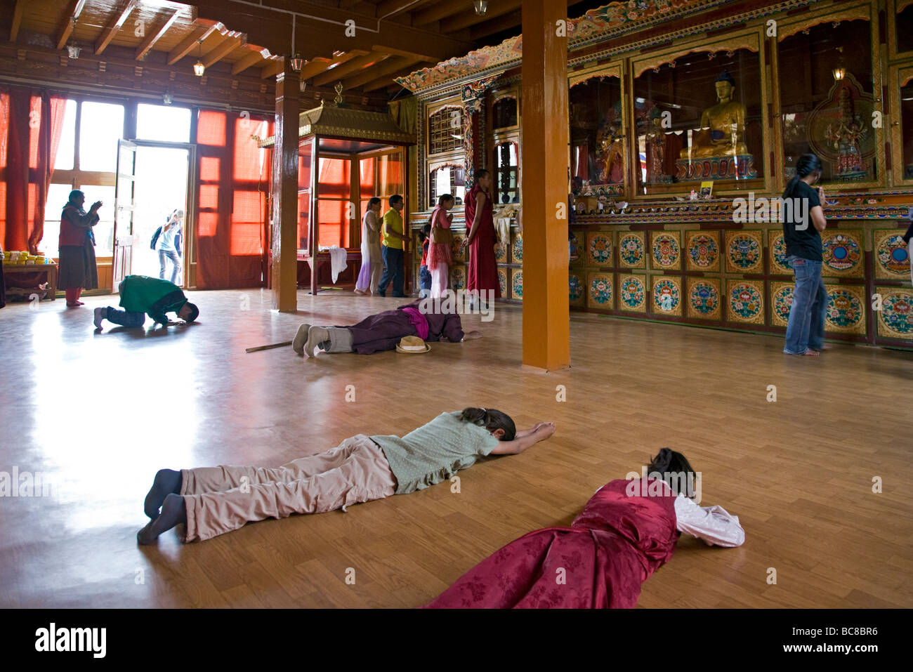 Tibetans prostrating. Jivatsal Tibetan Buddhist Temple. Choglamsar ...