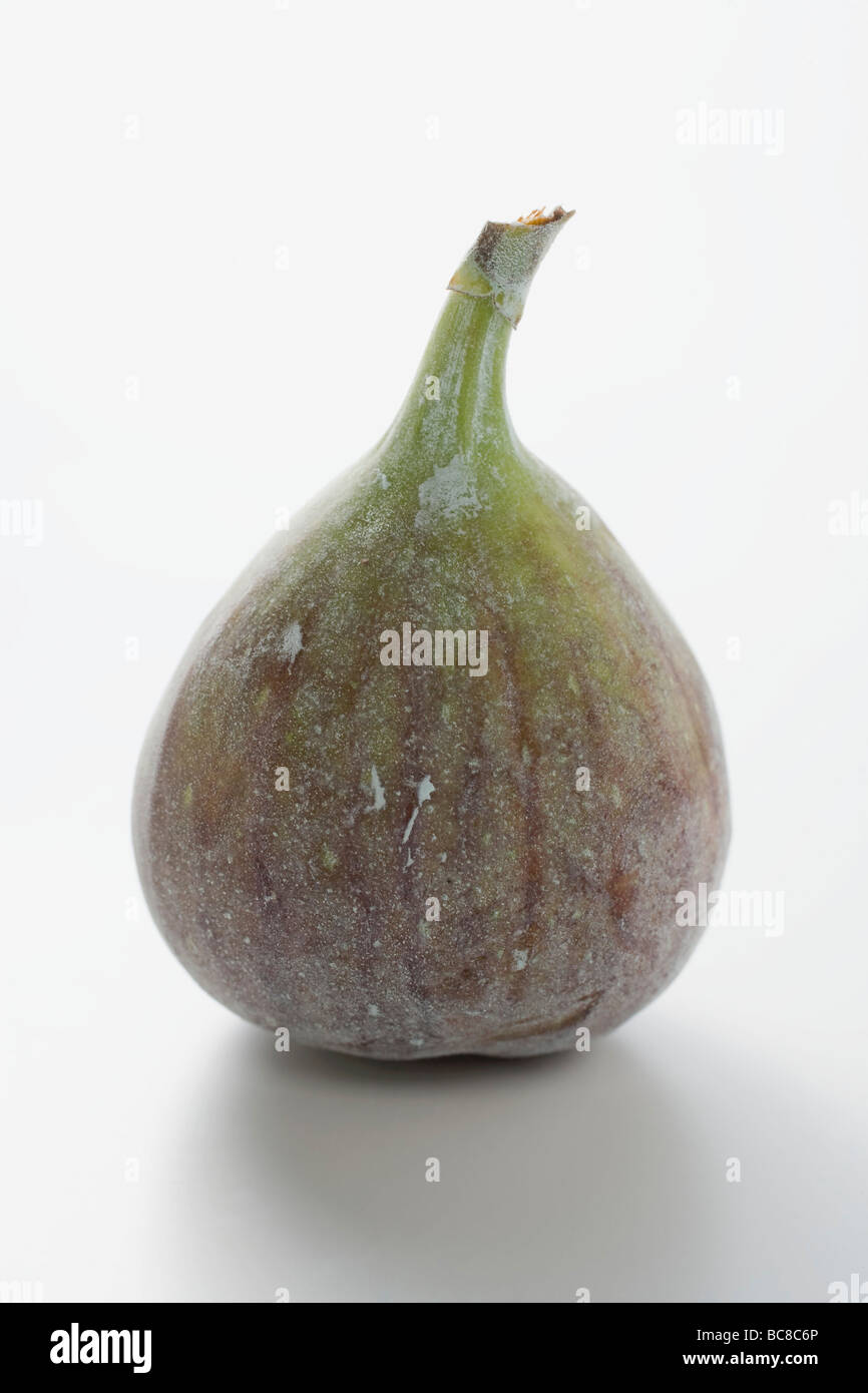 A fig Stock Photo - Alamy