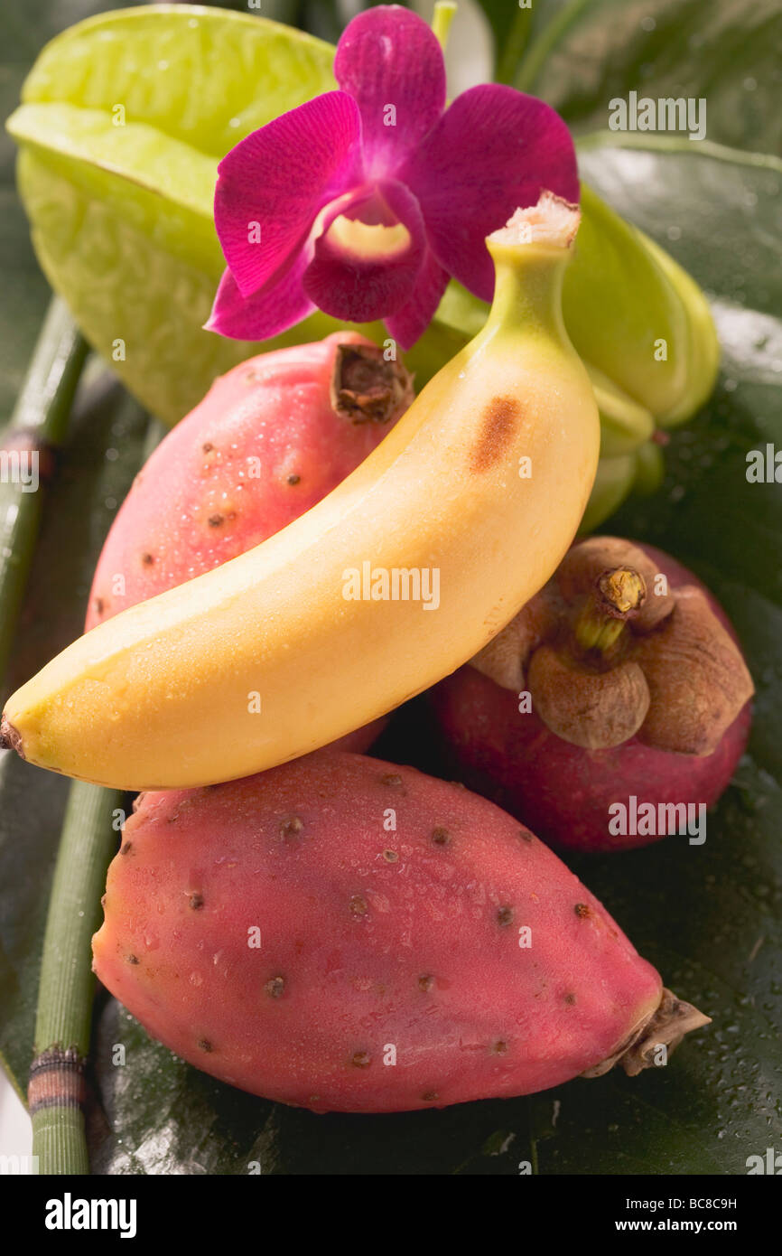 Exotic fruit still life with orchid Stock Photo - Alamy