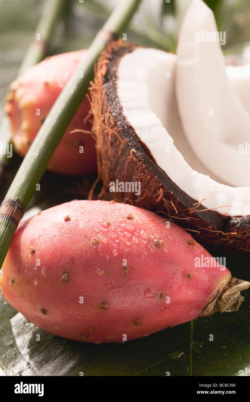 Prickly pears and coconut Stock Photo - Alamy