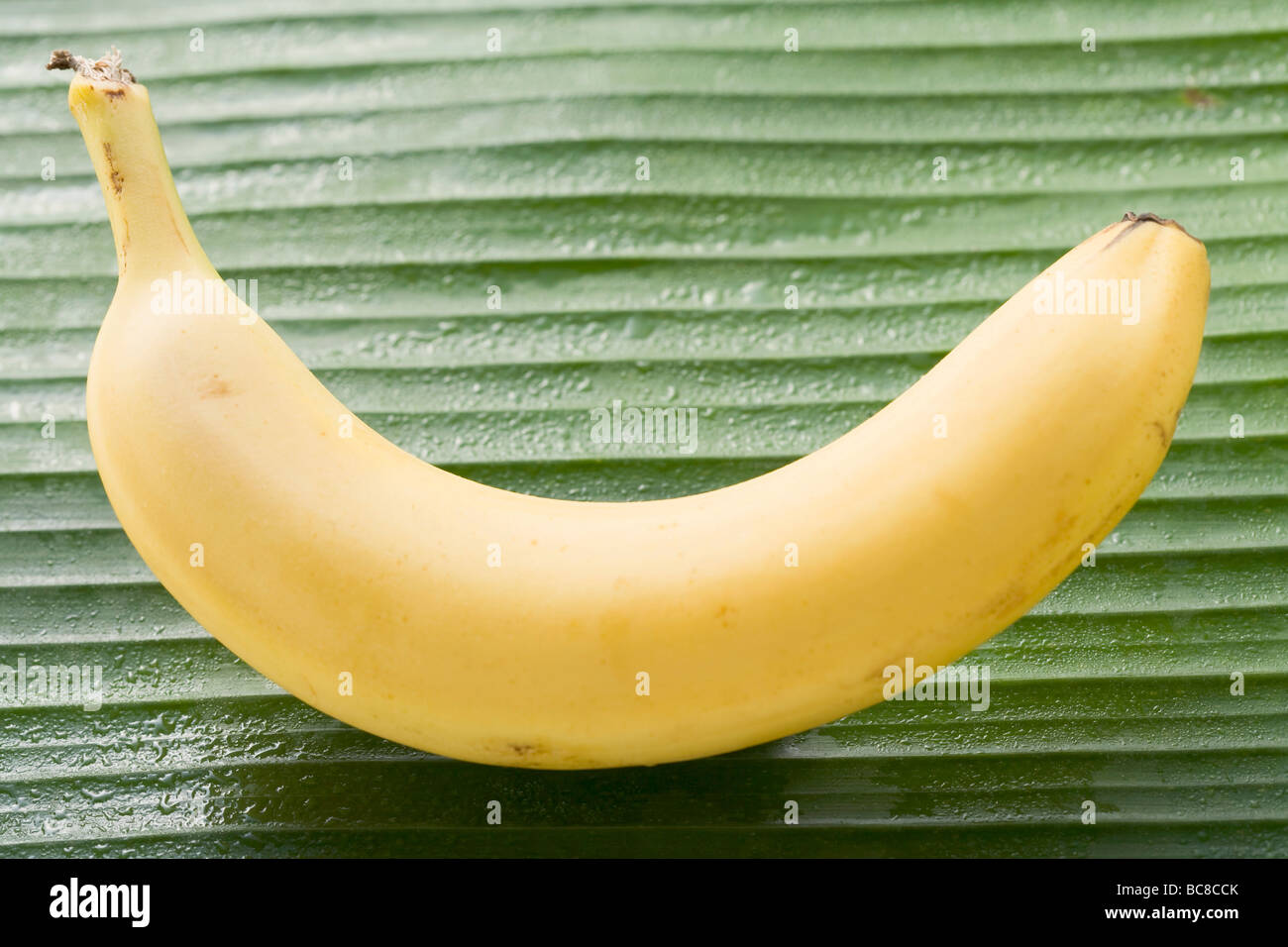 One banana on leaf Stock Photo - Alamy