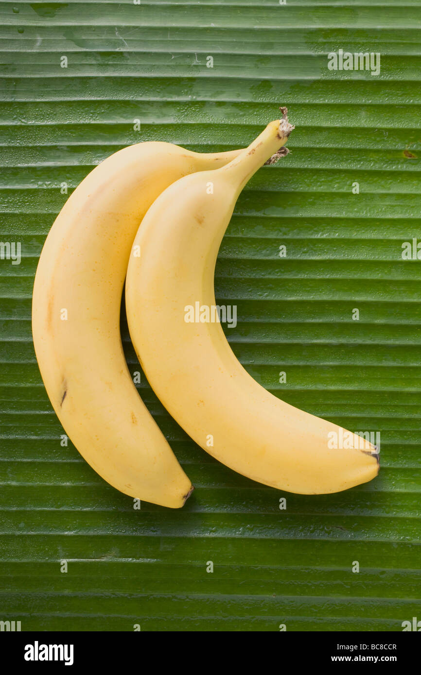 Two bananas on leaf (overhead view Stock Photo - Alamy