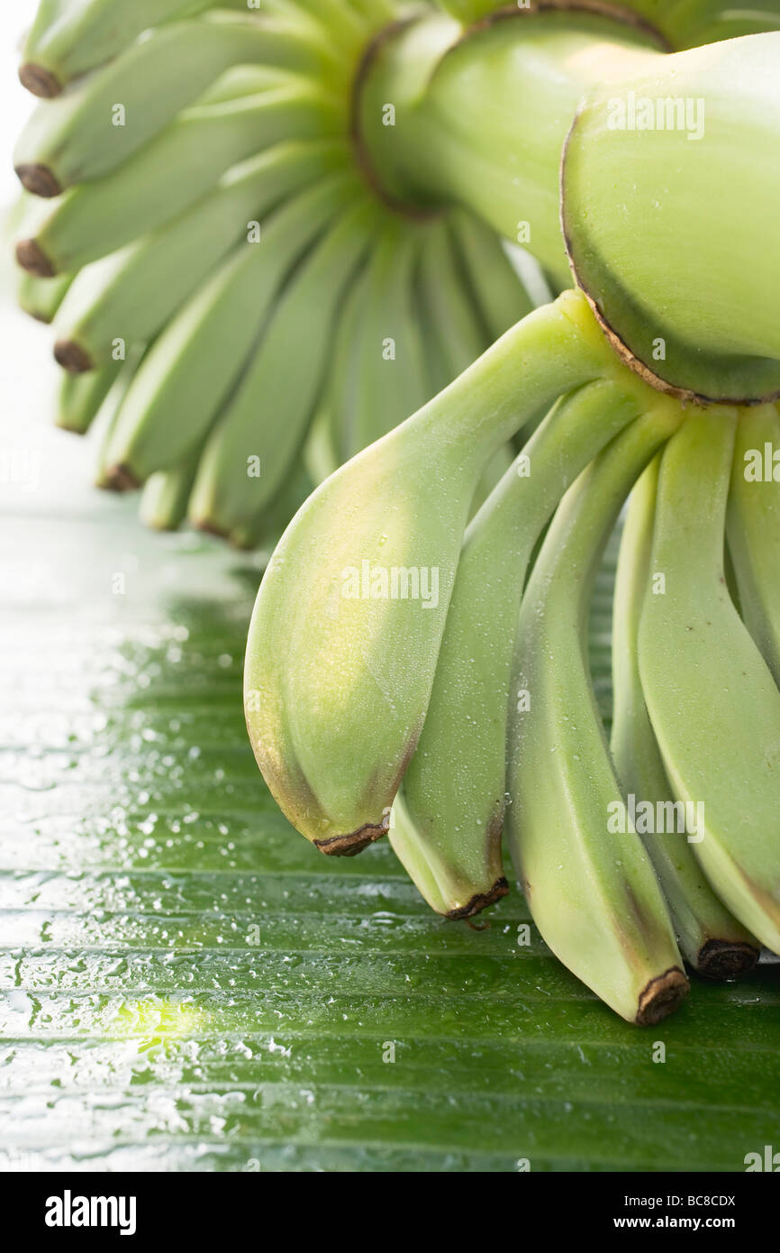 Bunch of bananas with drops of water Stock Photo - Alamy