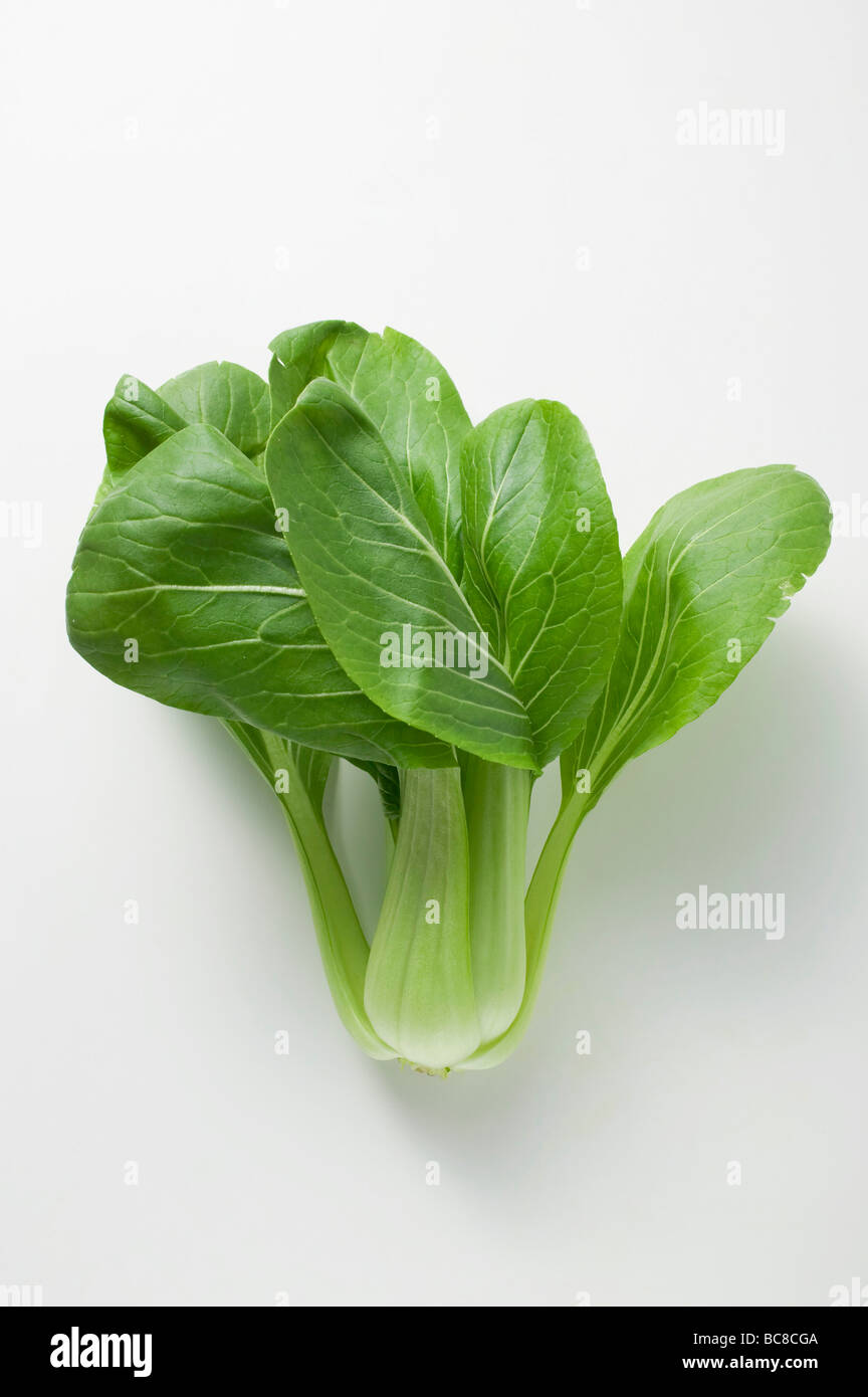 Fresh pak choi Stock Photo - Alamy