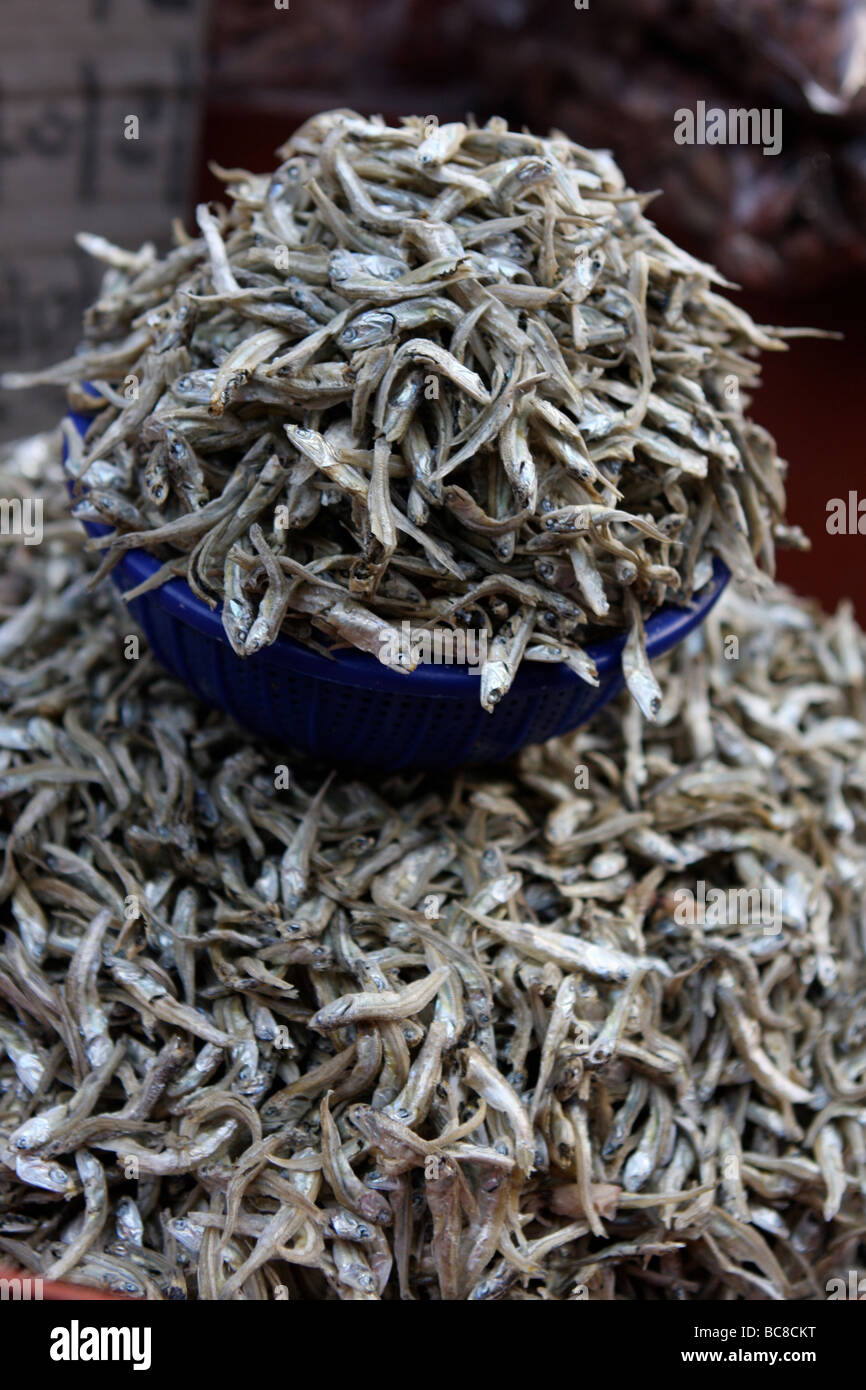 Thousands fish hi-res stock photography and images - Alamy