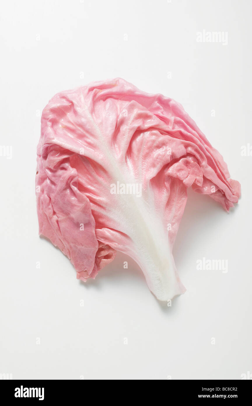 A pink radicchio leaf Stock Photo - Alamy