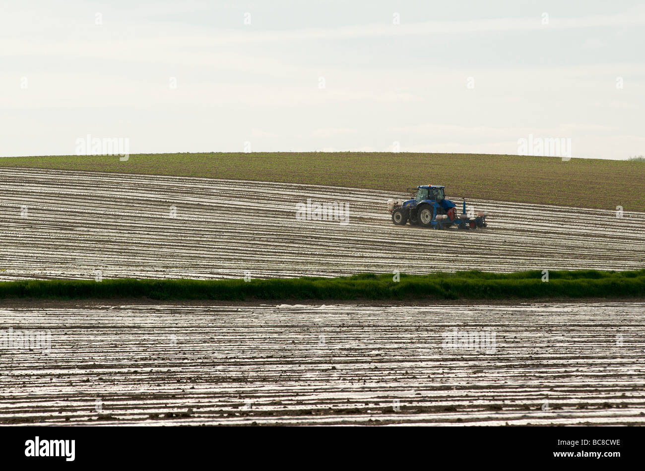 Tractor working in a cultivated field in Puy de Dome, showcasing ...