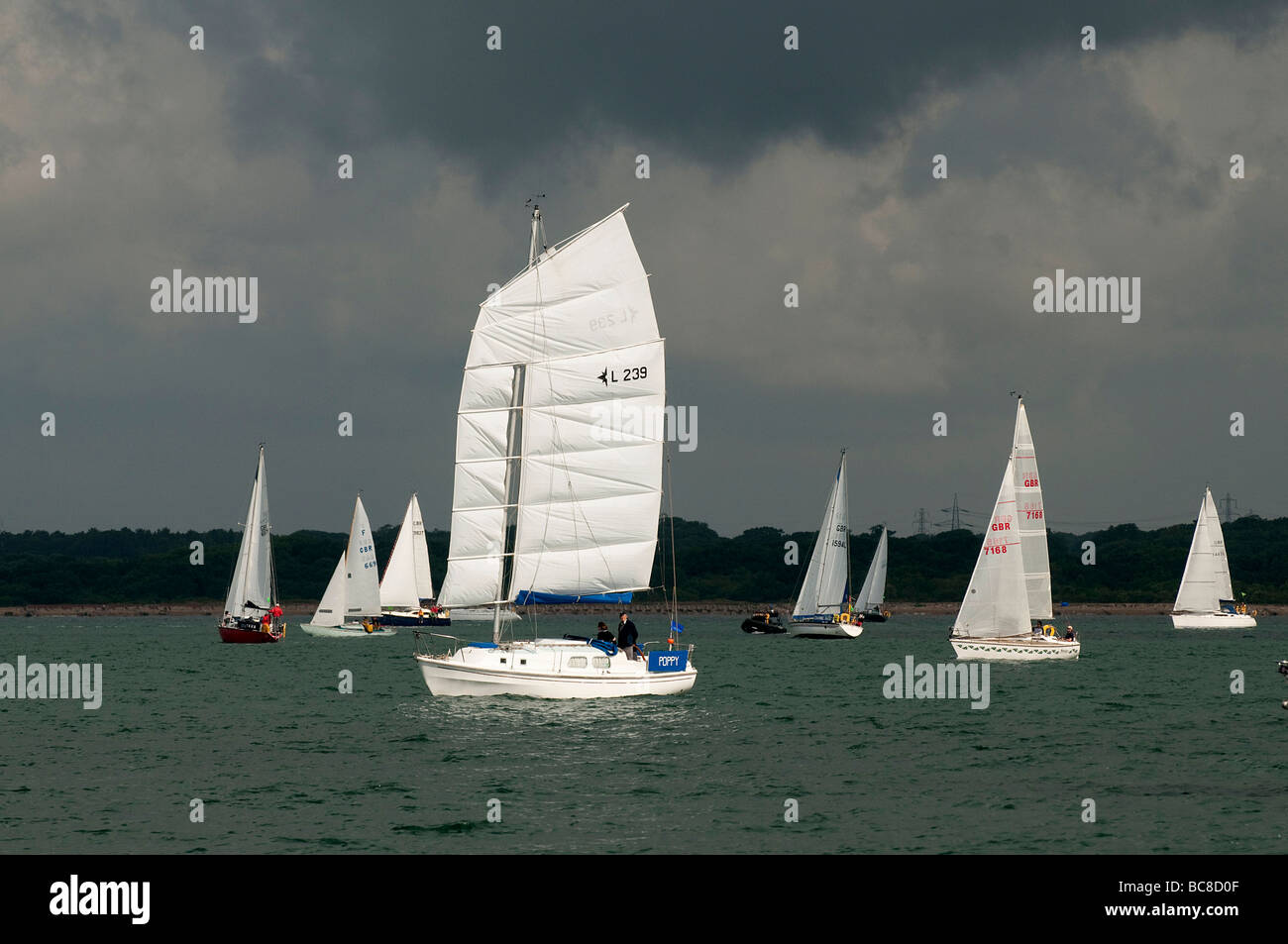 Round the Island Race 2009 Westerley Longbow Junk Rig Stock Photo - Alamy