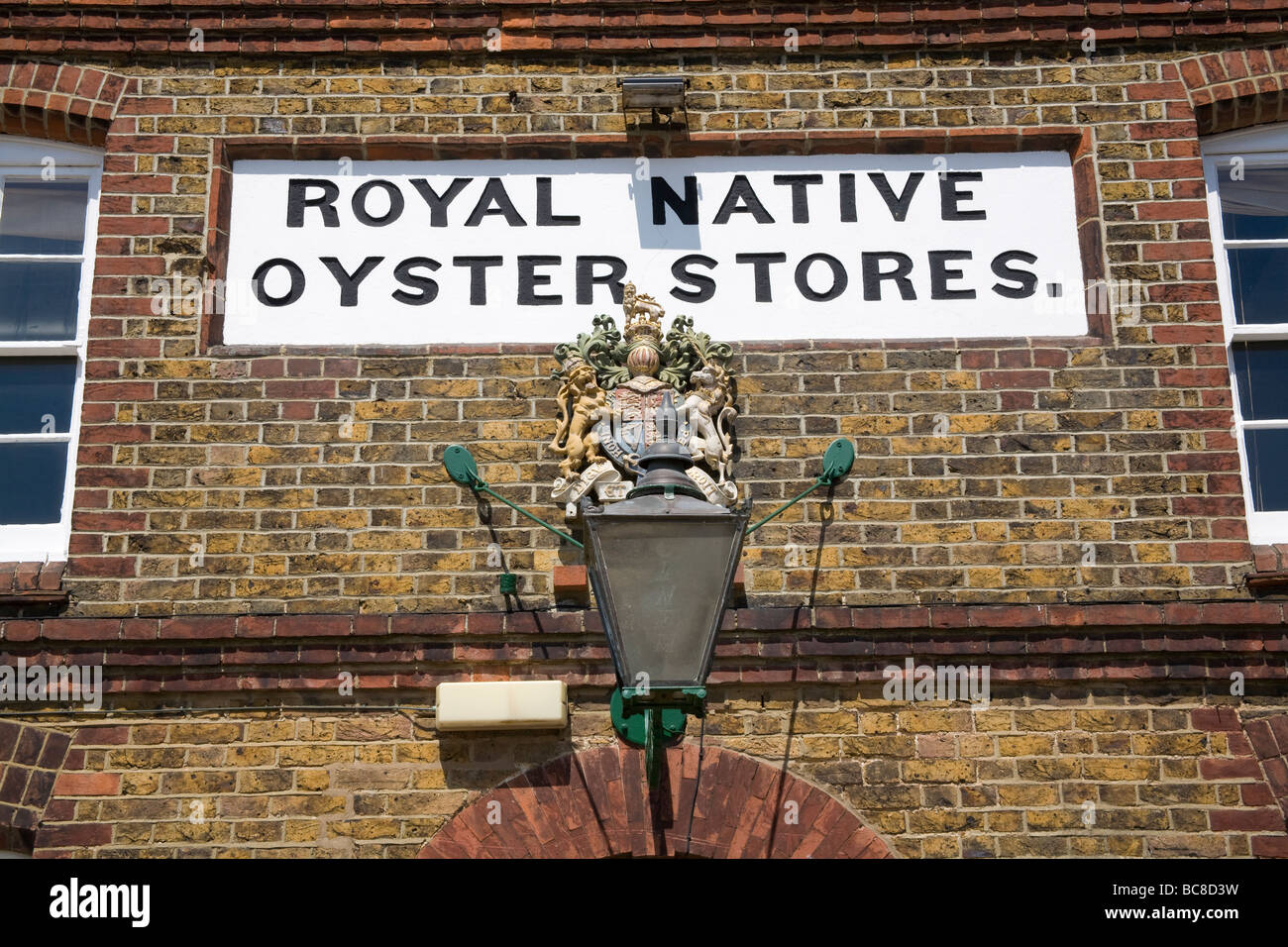 Royal native oyster hi-res stock photography and images - Alamy