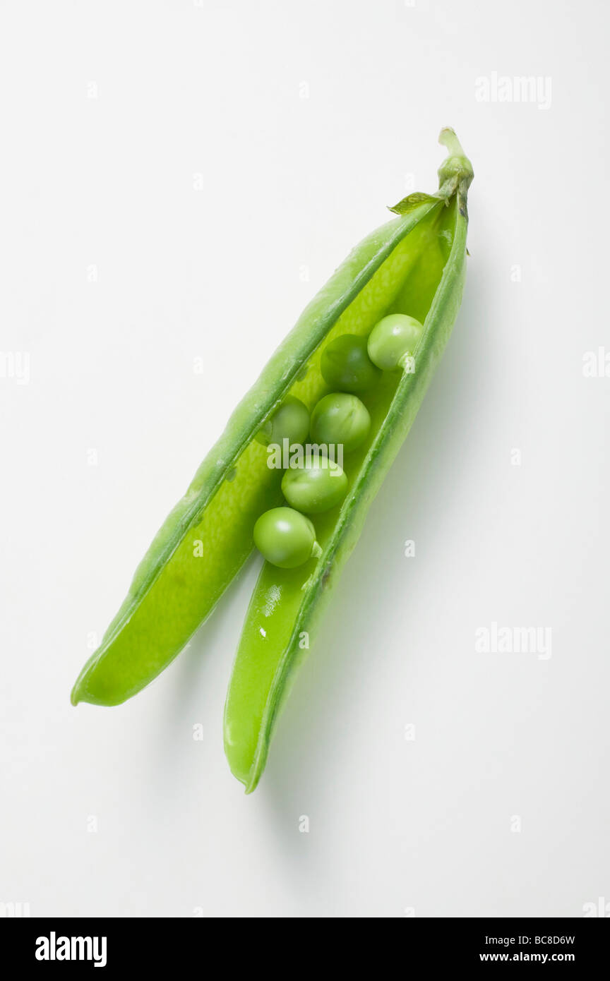 Pea pod, opened Stock Photo - Alamy