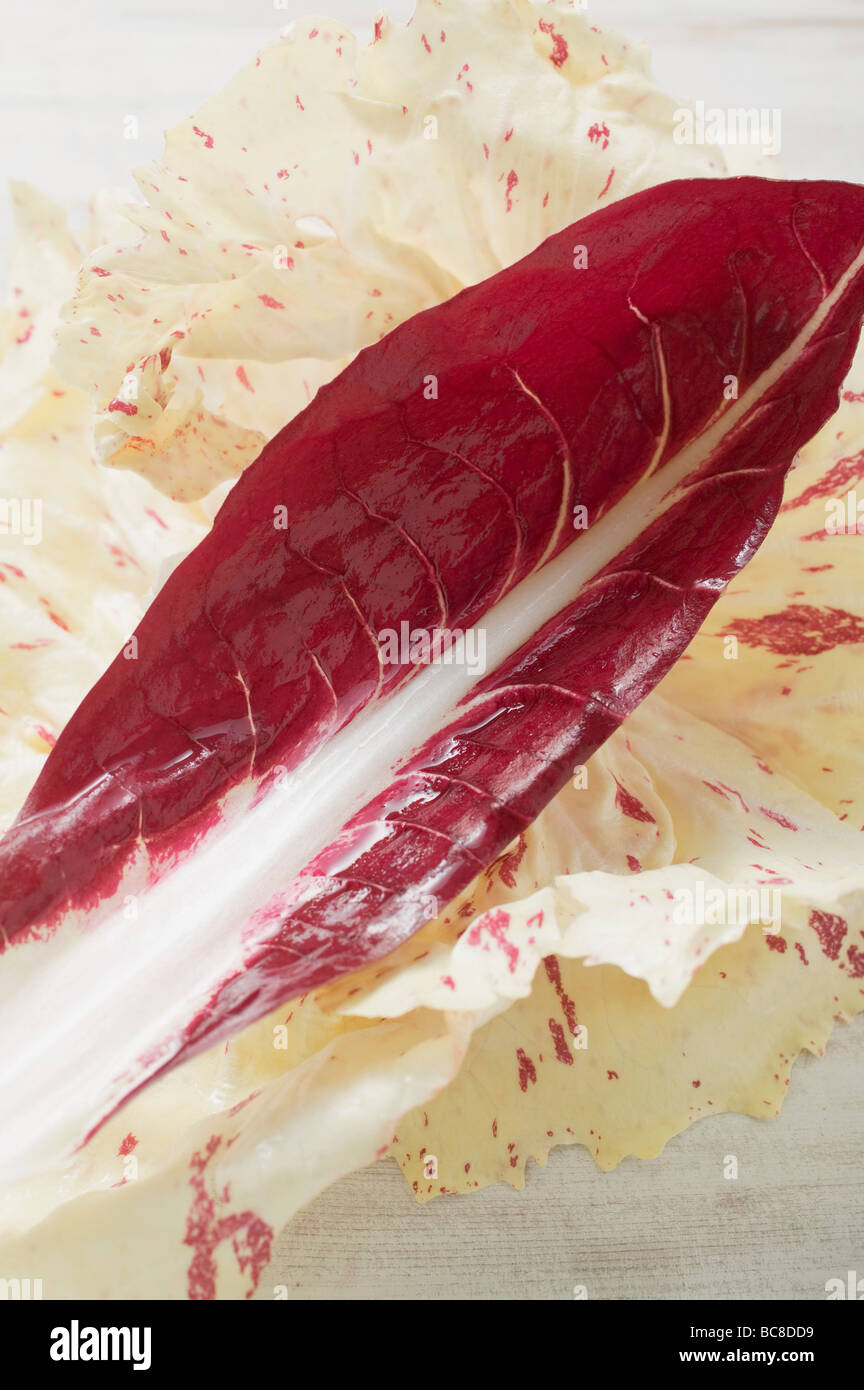 Two types of radicchio leaves Stock Photo - Alamy