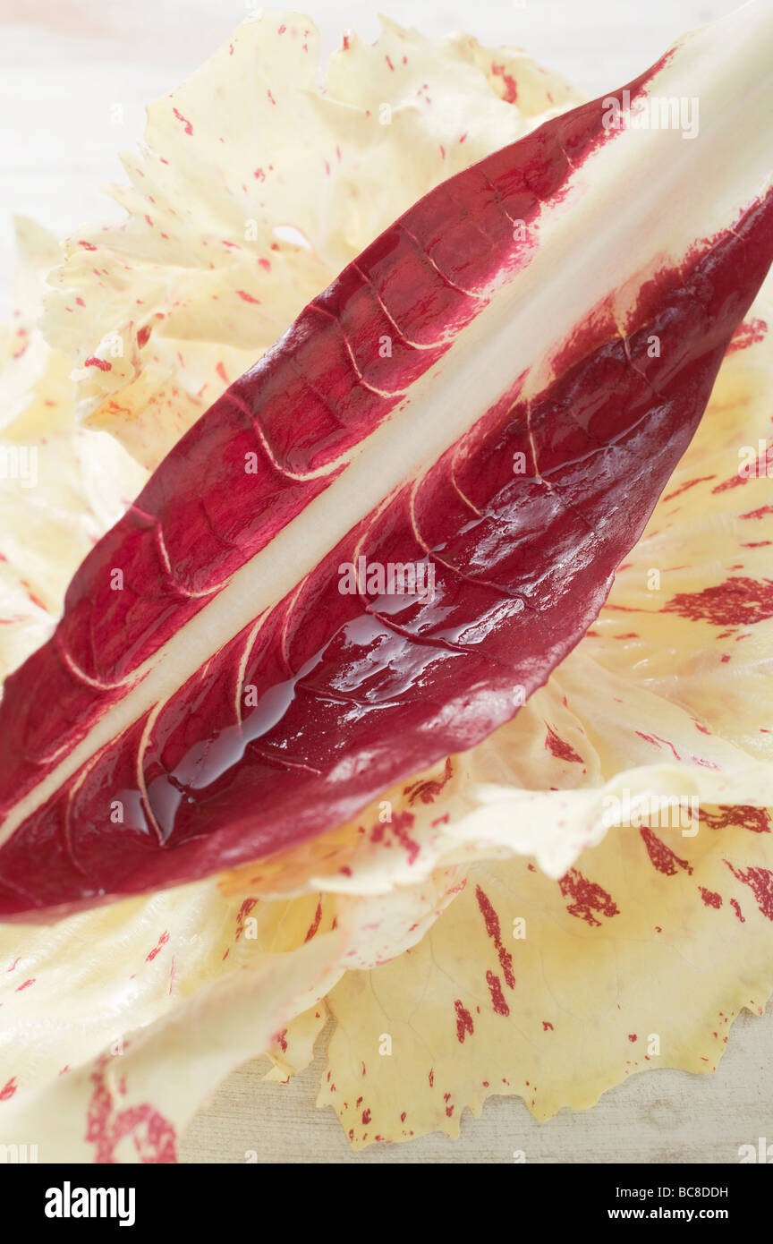 Two different types of birds hi-res stock photography and images - Alamy