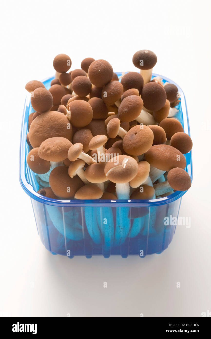 Punnet of mushrooms hi-res stock photography and images - Alamy
