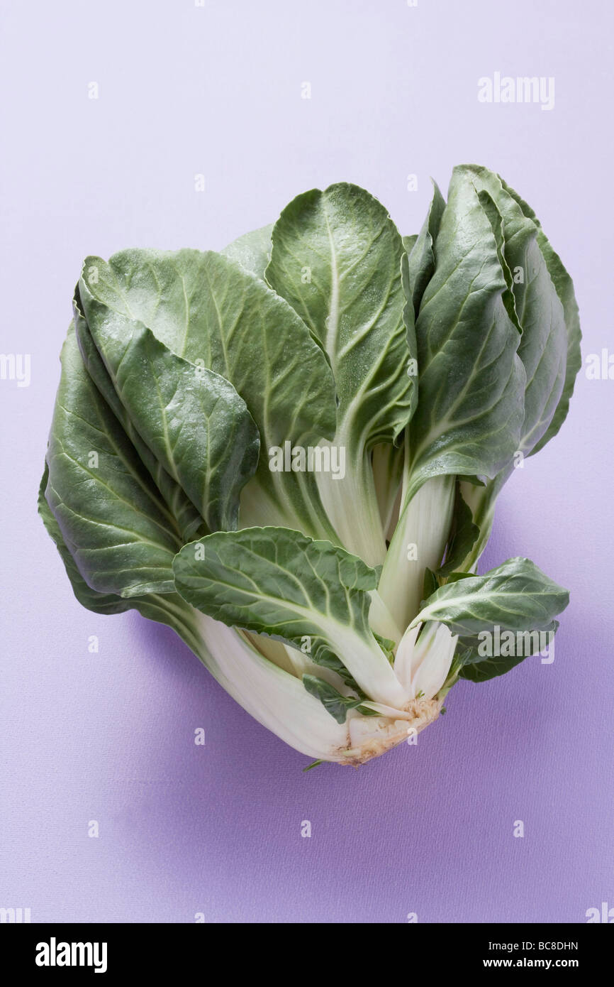 Fresh pak choi on purple background Stock Photo - Alamy