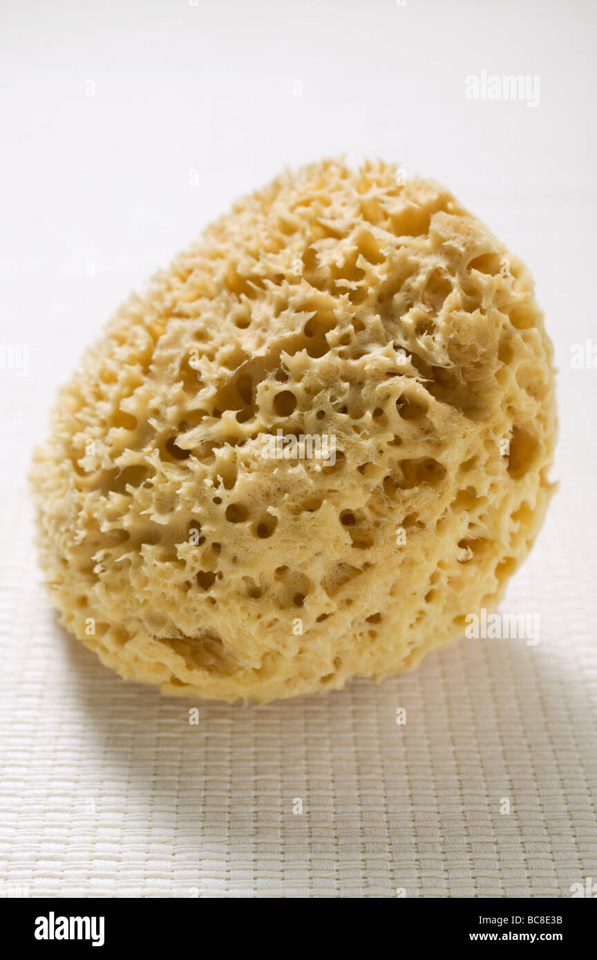 Bath sponge Stock Photo - Alamy