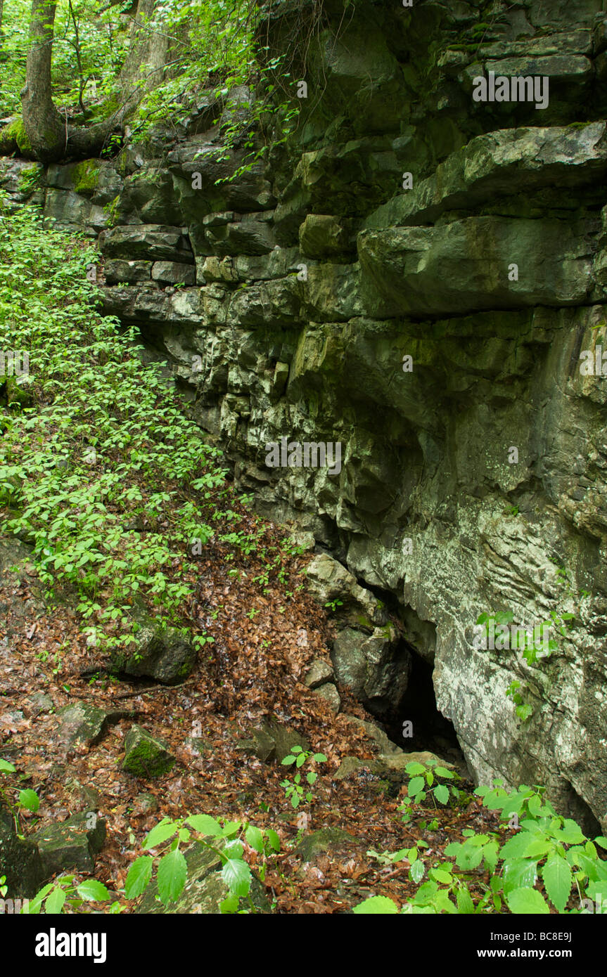 Cave Entrance on Nature Conservancy Preserve in Tennessee Stock Photo ...