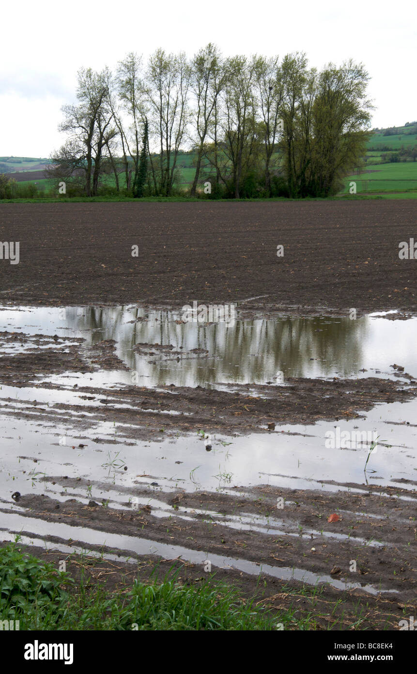 Agriculture flood hi-res stock photography and images - Alamy