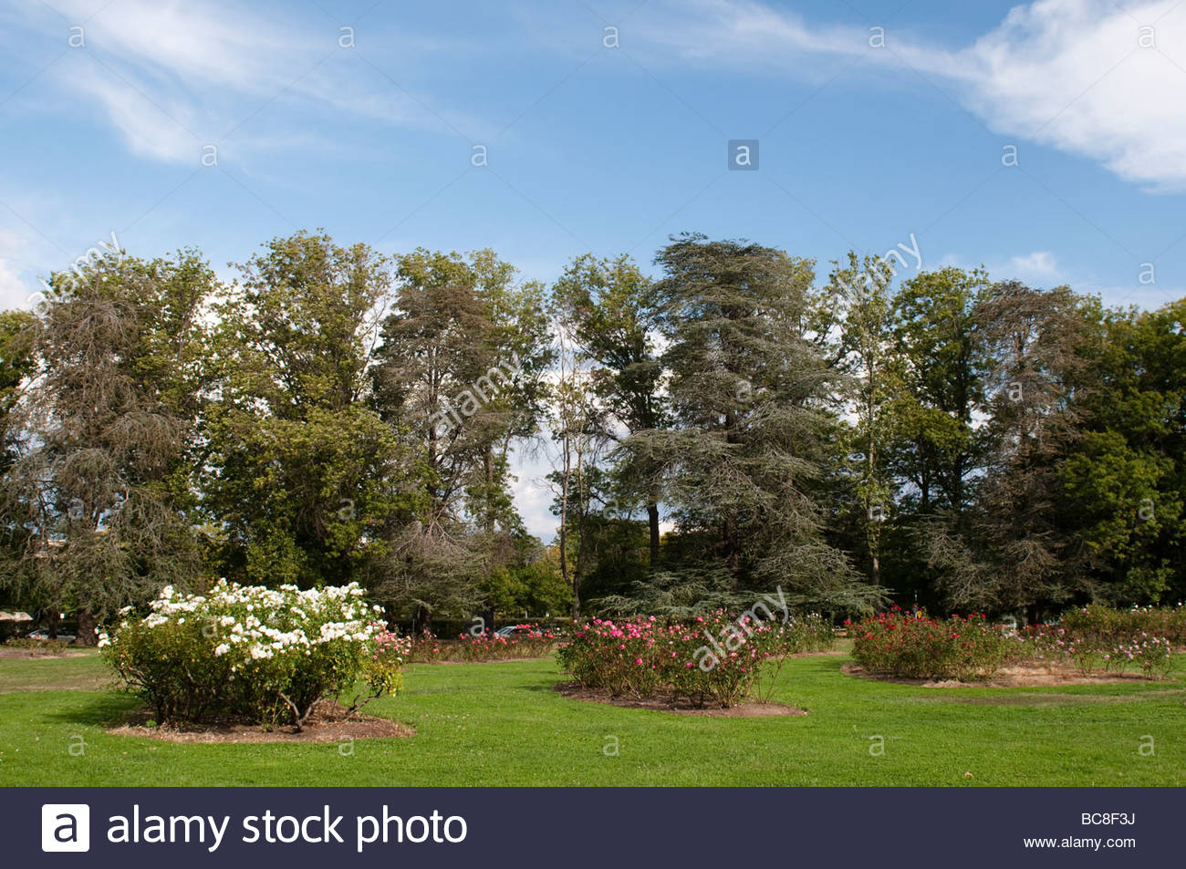 'old Parliament House Canberra' Stock Photos & 'old Parliament House ...