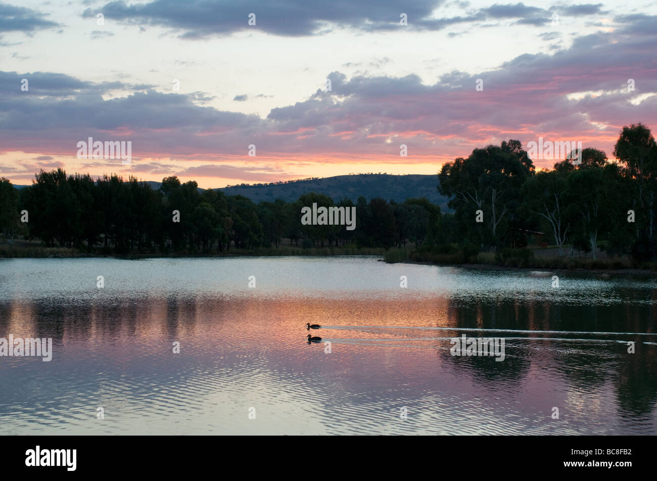 Canberra Suburb High Resolution Stock Photography and Images - Alamy