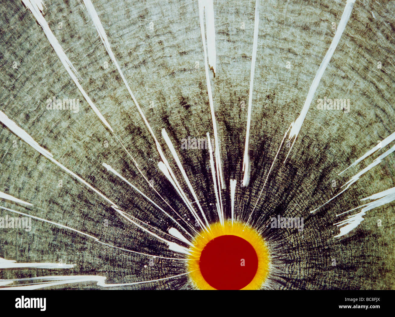 Special fluids hi-res stock photography and images - Alamy