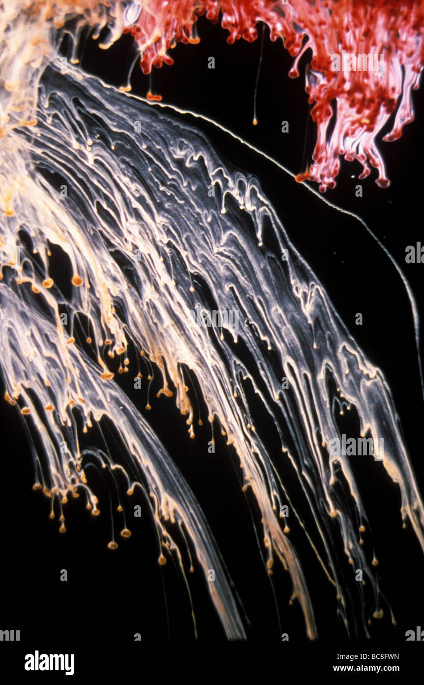 Special Effects -fluid flows within liquids Stock Photo - Alamy