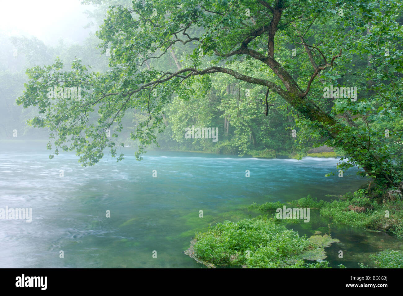 Water flowing from underground spring in early morning with fog rising ...