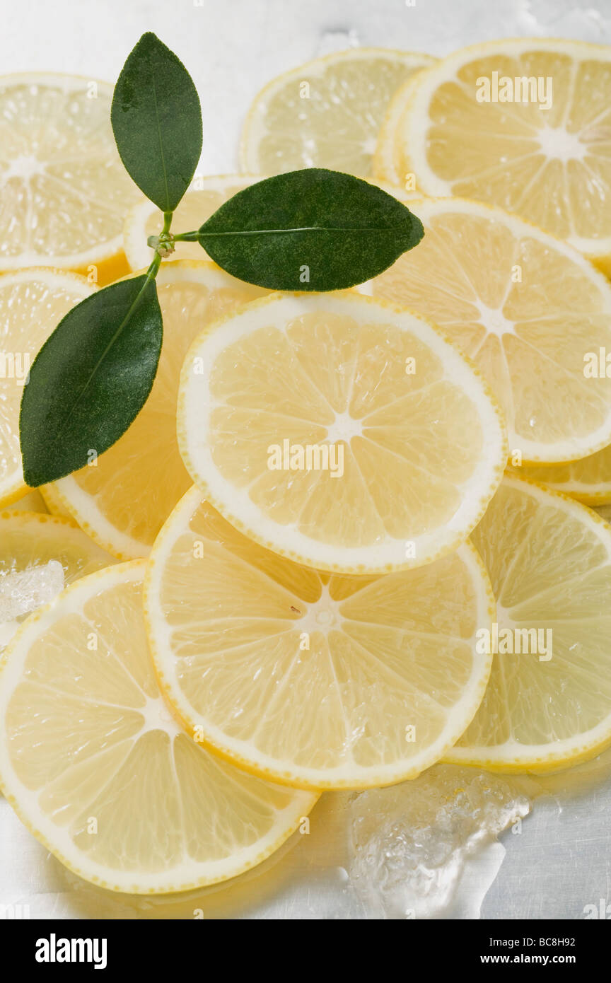 Lemon slices surrounded by ice cubes Stock Photo - Alamy