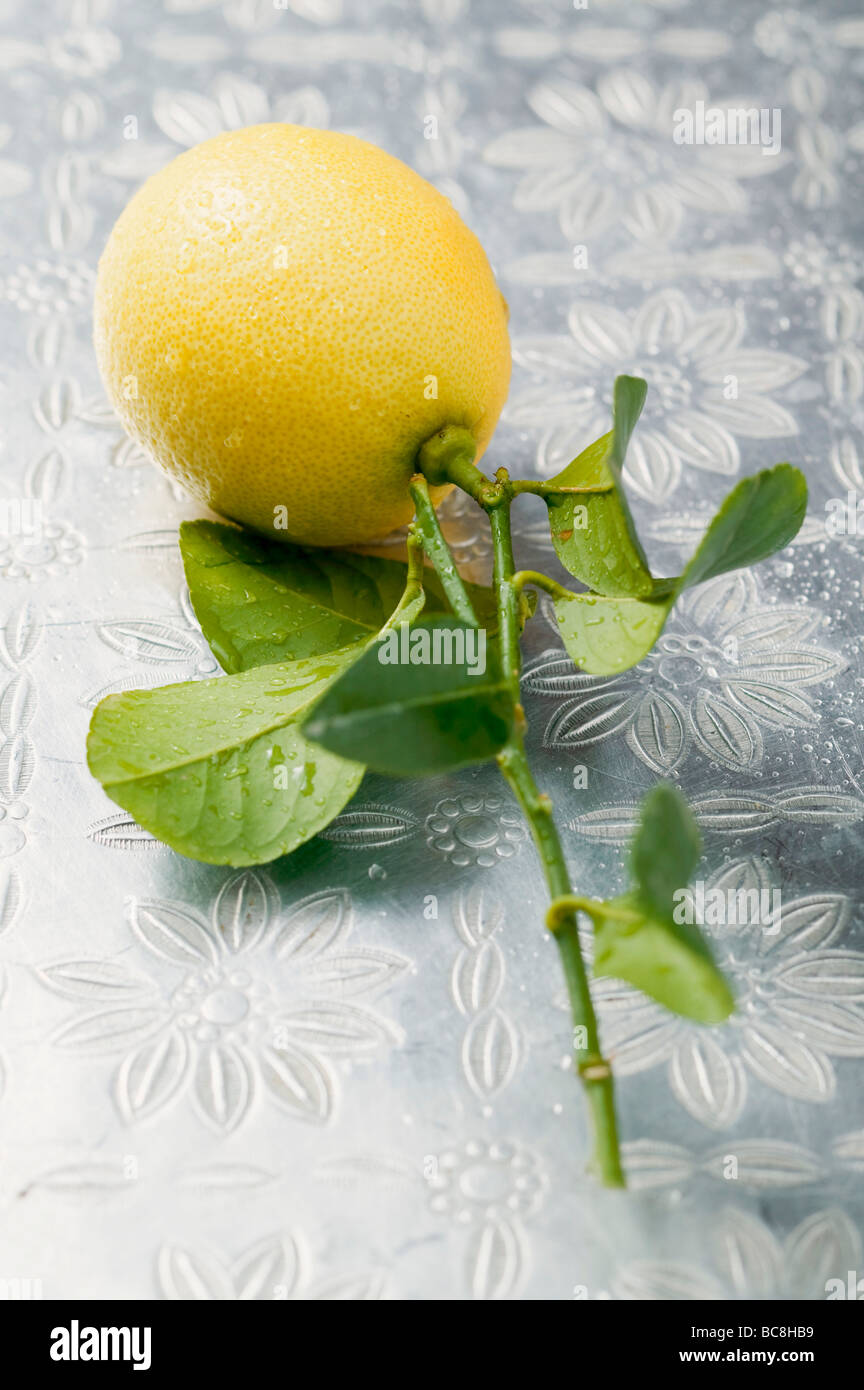 Fresh lemon with part of branch Stock Photo - Alamy